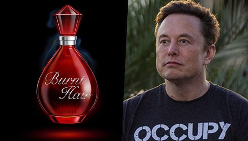 Elon Musk turns 'perfume salesman', showcases 'Burnt Hair'; Here is how ...