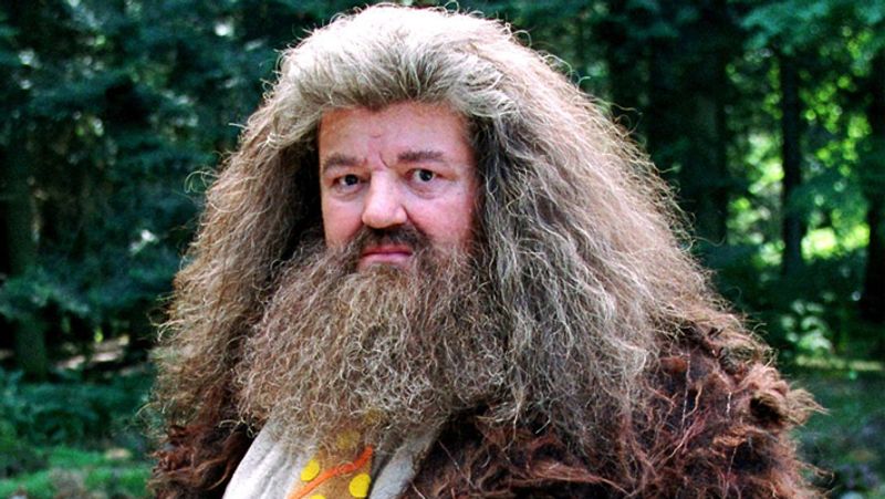 'हैरी पोटर' फिल्मों के दिग्गज एक्टर का निधन, 72 साल की उम्र में ली ...