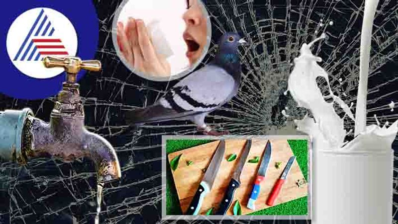 Vastu: ಒಡೆದ ಕನ್ನಡಿ, ಸೀನು, ಉಕ್ಕುವ ಹಾಲು.. ಈ 9 ಘಟನೆಗಳು ಅಪಶಕುನದ ಮುನ್ಸೂಚನೆ ...