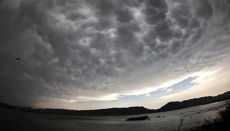 Cyclone Mandous: IMD issues rain alert for Tamil Nadu, Andhra Pradesh, Puducherry; check details ...