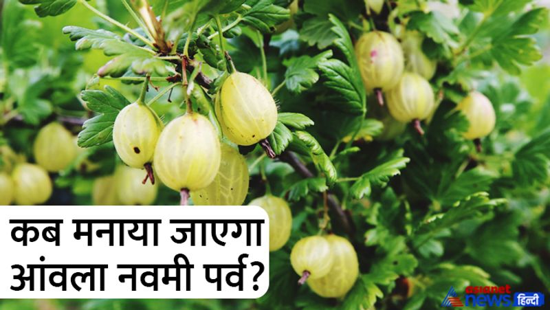 Amla navami 2022: 3 शुभ योगों में मनाया जाएगा आंवला नवमी पर्व, जानें ...