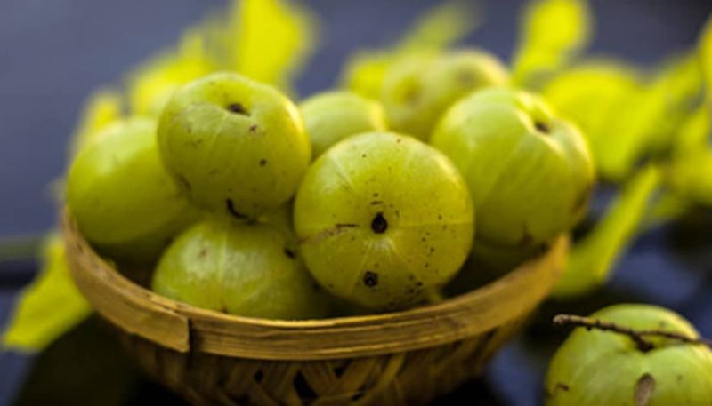 Amla Side Effects: आंवला के गुण के बारे में तो है पता, लेकिन क्या इसके ...