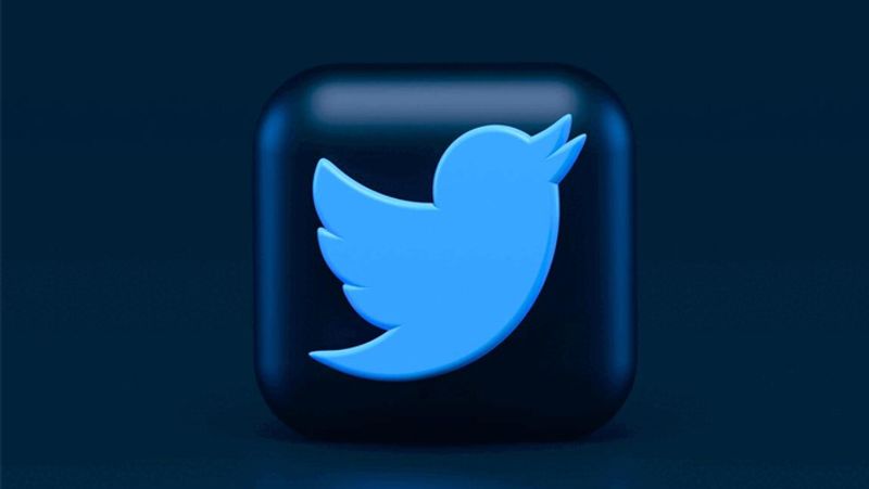 29 नवंबर को Twitter Blue री-लॉन्च करेंगे एलन मस्क, जल्द हट सकते हैं सभी ...