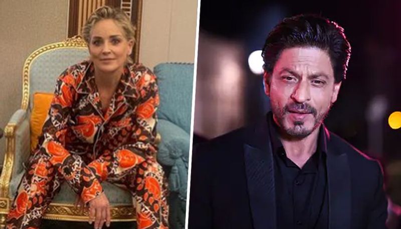 Sharon Stone's ultimate star-struck moment after witnessing Shah Rukh ...