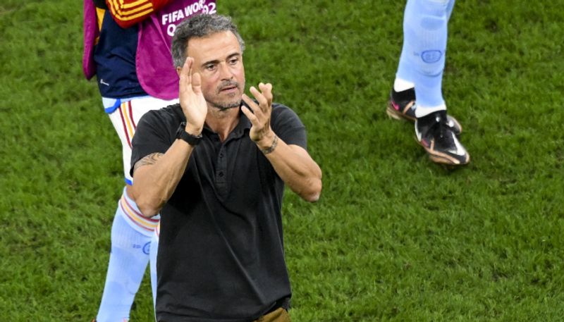 Former Spain boss Luis Enrique breaks his silence on being Tottenham ...