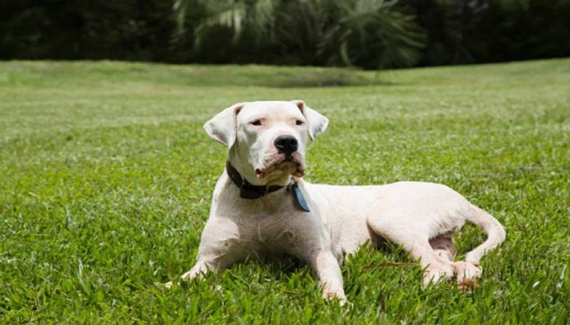 യുവാവിനെ തട്ടിക്കൊണ്ടുപോയി, മോചനദ്രവ്യമായി സംഘം ആവശ്യപ്പെട്ടത് വീട്ടിലെ ...