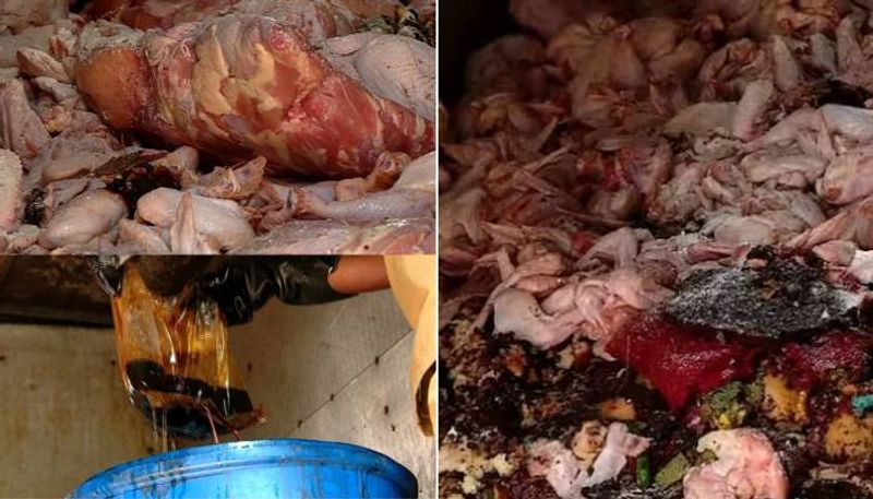 Probe continues about tsunami meat . കൊച്ചിയിൽ സുനാമി ഇറച്ചി സൂക്ഷിച്ച ...