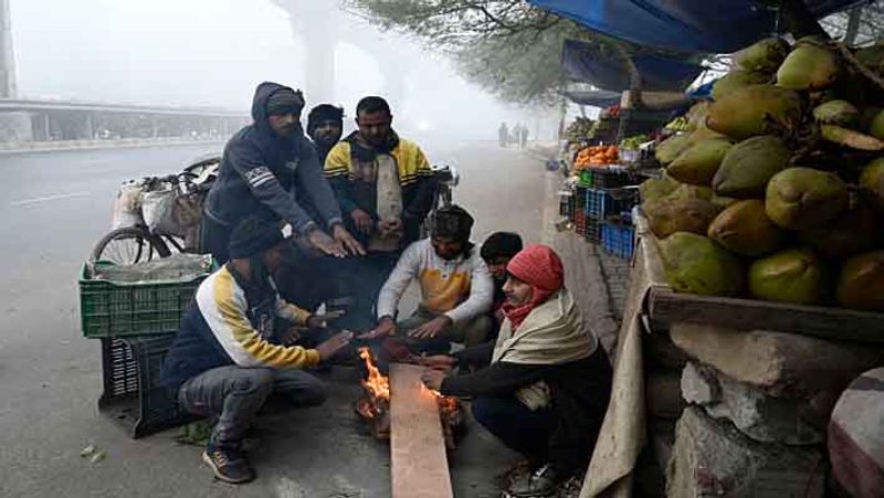 Cold wave grips North India: IMD warns of severe weather ahead in THESE ...