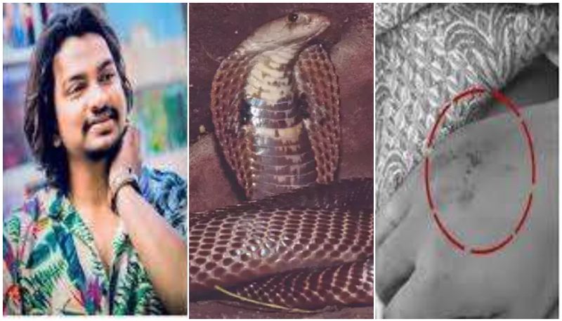 പാമ്പാട്ടിയെ വിശ്വസിച്ചു, കൗതുകത്തിന് പാമ്പിനെ കഴുത്തിലിട്ട് സെല്‍ഫി ...