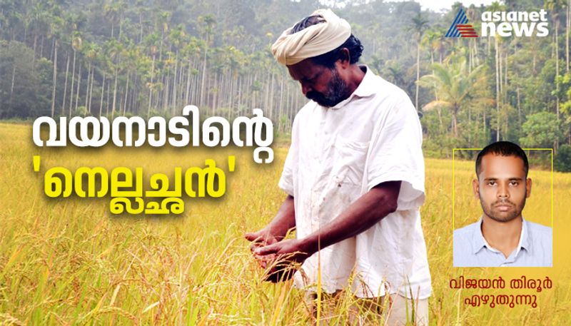 പത്മശ്രീ ചെറുവയല്‍ രാമന്‍; കാലത്തെ തോല്‍പ്പിച്ച വയനാടിന്റെ 'നെല്ലച്ഛന് ...