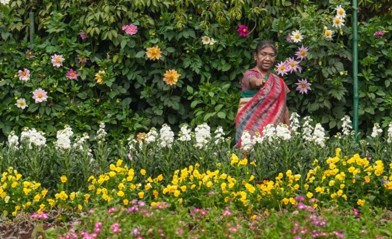 PHOTOS: Inside the Amrit Udyan of the Rashtrapati Bhavan- Asianet Newsable
