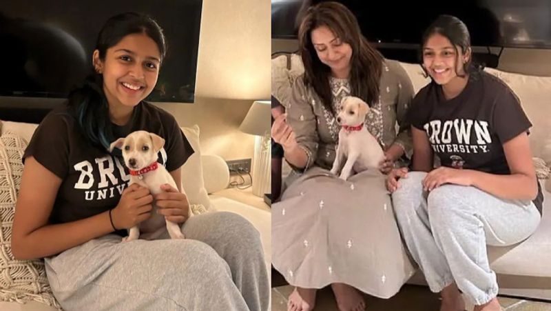 Suriya Jyothika Daughter Diya : மளமளவென வளர்ந்து... அழகில் அம்மாவுக்கே டஃப் கொடுக்கும் ...