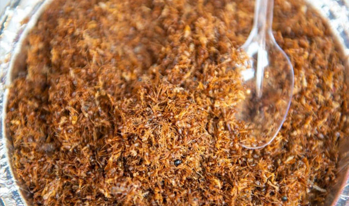 आदि महोत्सव में चींटी की चटनी बनी के लोग हो रहे दीवाने, जानें रेसिपी और ...