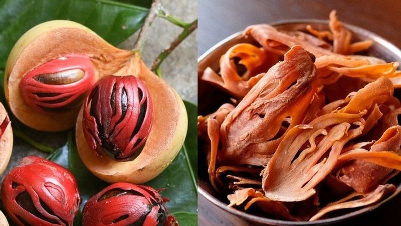 जावित्रीचे फायदे: आरोग्य सुधारण्यासाठी रामबाण उपाय | Health Benefits Of ...