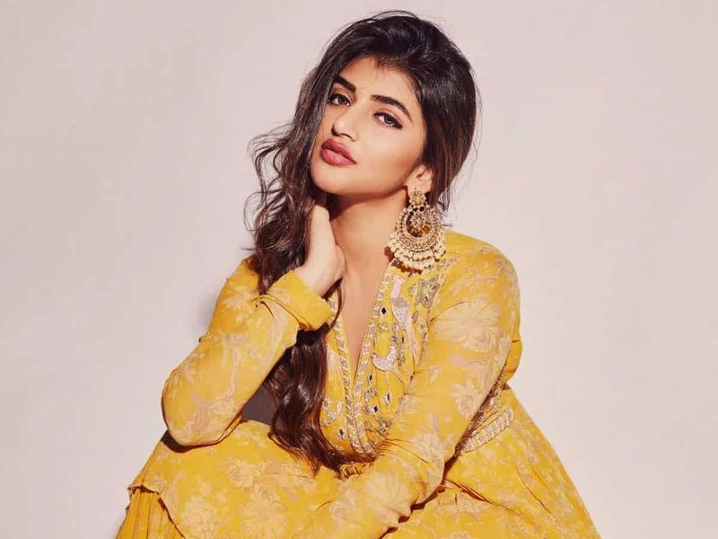 హీరోల కోసమే సినిమా టికెట్స్ కొంటారు.. ఆ ప్రచారానికి శ్రీలీల ఇలా ముగింపు ...