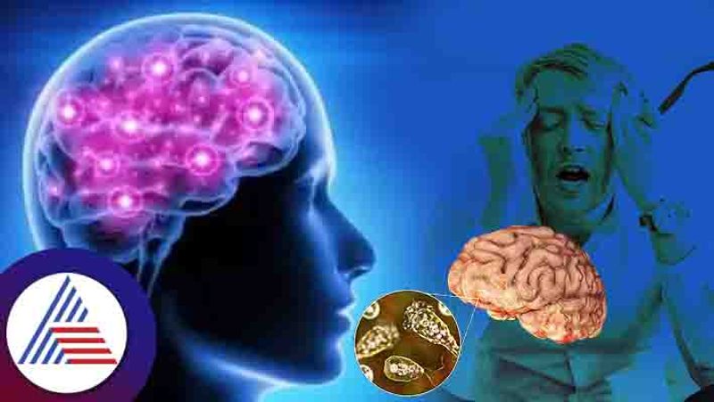 Kerala's Alappuzha reports rare case of amoebic brain illness- Asianet ...