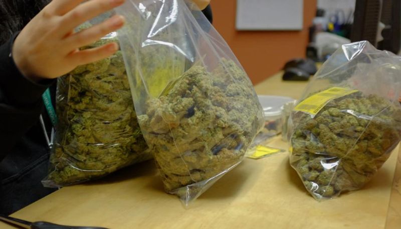 Hydroponic Marijuana; 2 കോടി രൂപ മൂല്യം, ഇടപാട് മുഴുവന്‍ ഡാര്‍ക്ക് ...