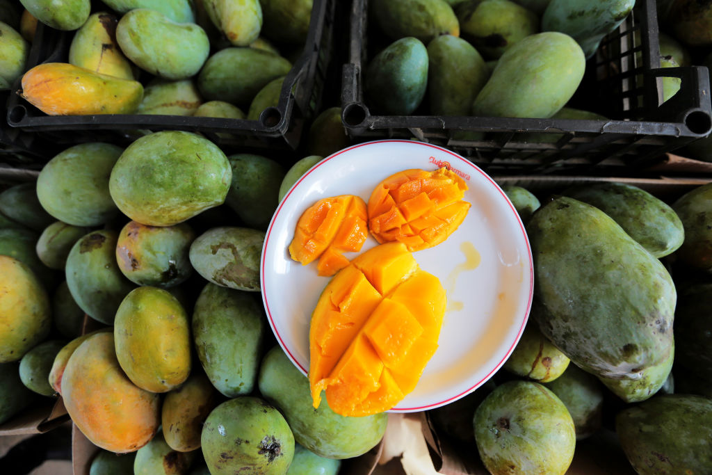 Mango season alert! Learn to spot real mangoes and avoid harmful ...