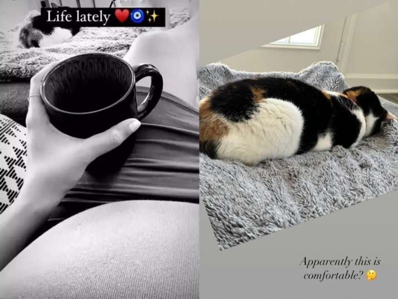 Ileana D'Cruz shows off her full-grown baby bump, but what is beside ... Ileana D'Cruz shows off her full-grown baby bump, but what is beside ...