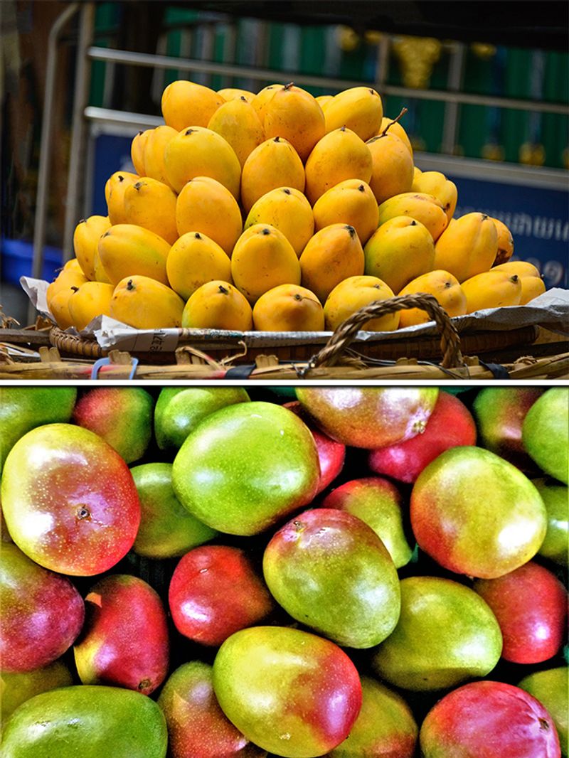 Mango: 7 types of mangoes popular in India | Asianet Newsable