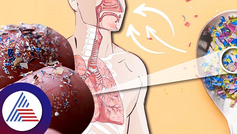 ನೀವು ಉಸಿರಾಡಿದಾಗ ಒಳ ಸೇರುವ ಮೈಕ್ರೋಪ್ಲಾಸ್ಟಿಕ್ ಸಂಗ್ರಹವಾಗೋದೆಲ್ಲಿ? | Study ...