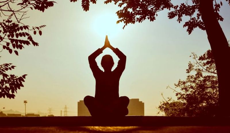 International Yoga Day 2023: 10 asanas for starters- Asianet Newsable