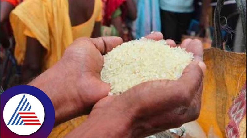 ಮಳೆ ಕೊರತೆ: ಅಕ್ಕಿ ಉತ್ಪಾದನೆ ಕುಸಿತ ಭೀತಿ..! - Fear of decline in rice ...
