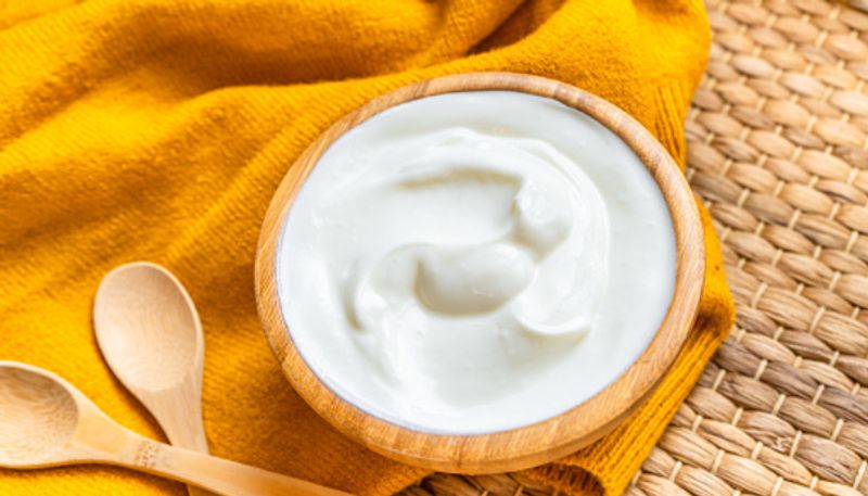 Here are 7 easy steps to make healthy curd at home
