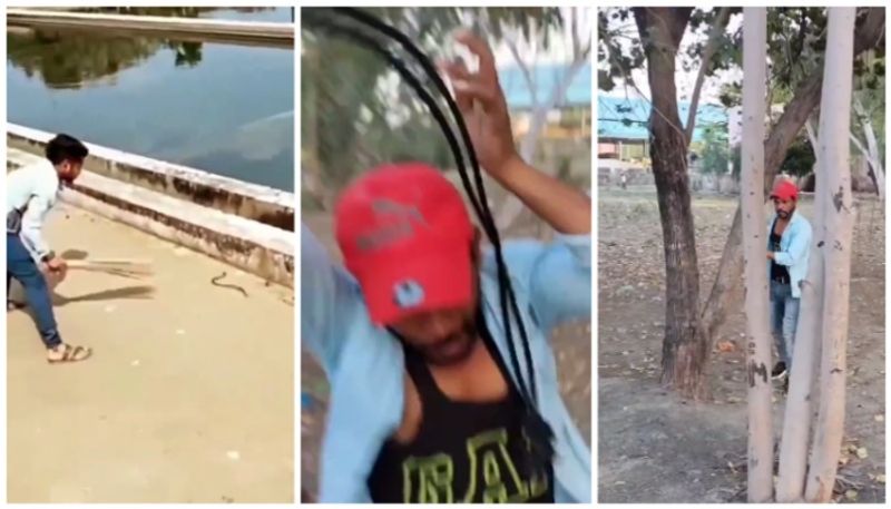 അബദ്ധത്തില്‍, കാഴ്ചക്കാരനായി നിന്നയാളുടെ മേലേയ്ക്ക് പാമ്പിനെ ...