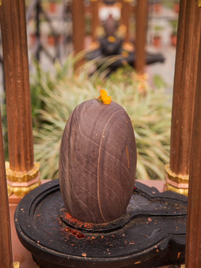 শিব ভক্তরা শ্রাবণ সোমবার উপবাস করেন, জানুন উপবাসের গুরুত্ব ও তাৎপর্য ...