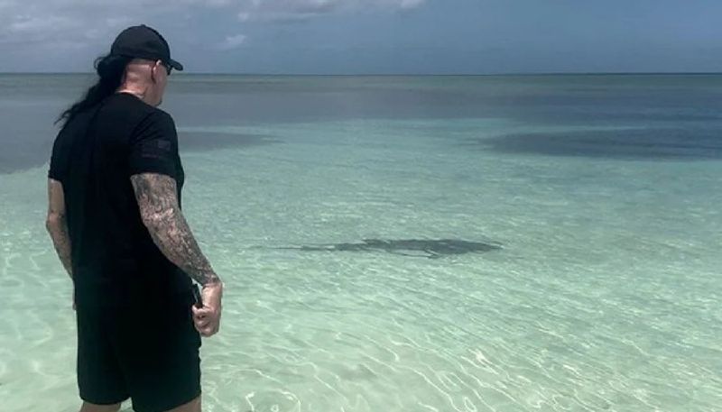 WATCH: WWE legend The Undertaker displays fearlessness, protects wife ...
