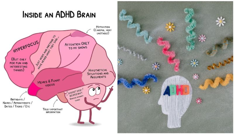 Recognizing ADHD: 7 common signs and symptoms to watch For- Asianet ...
