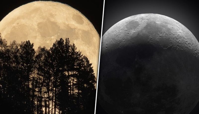 National Moon Day 2023: Celebrating the historic Lunar landing and ...