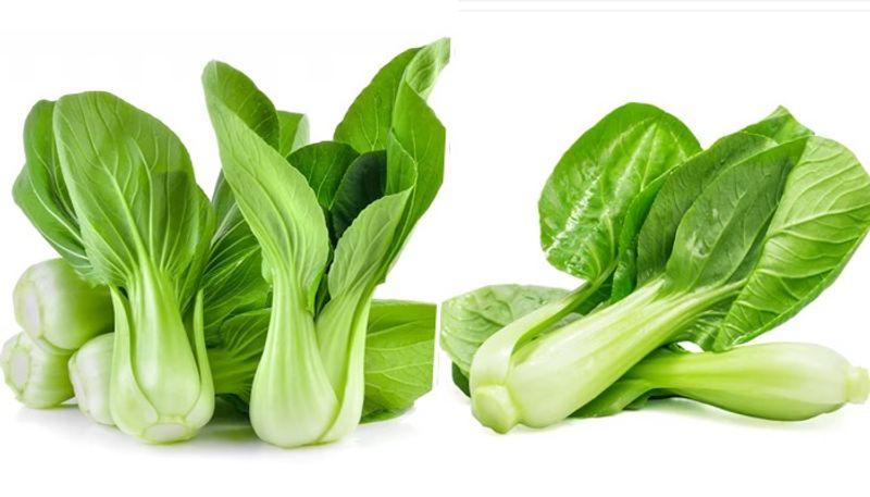 Anti-oxidant to nutrient powerhouse: Remarkable benefits of Pak Choy ...