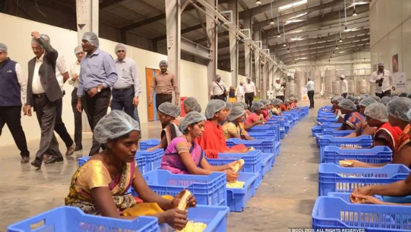 PMKSY : பிரதான் மந்திரி கிசான் சம்பதா யோஜனா.. வேலைவாய்ப்பு அதிகரிப்பு ...