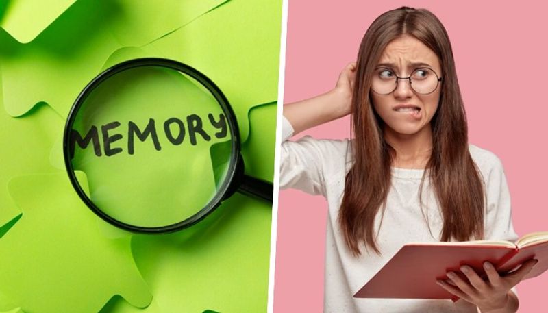 Ace exams with precision: 7 top memory techniques every student should master