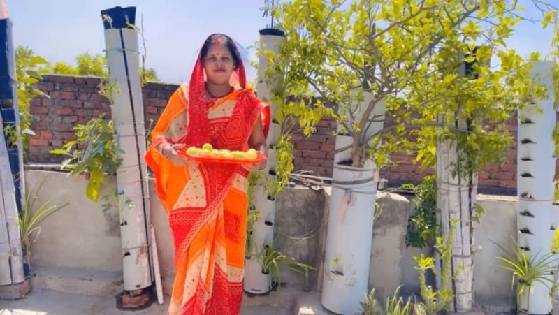 How did Bihar’s Sunita Devi become independent through vertical farming at her home?- MyNation