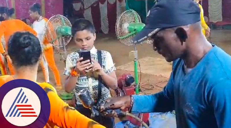 ಉಡುಪಿ: ದರ್ಪಣ ಸಂಸ್ಥೆಯ ಹೆಣ್ಣು ಮಕ್ಕಳ ಹುಲಿ ವೇಷ ತಂಡ - Tiger disguise team of girls in Darpana ...