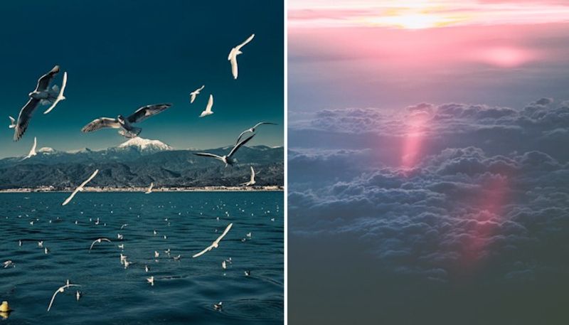 International Day of Clean Air 2023: Breathing life into a sustainable ...