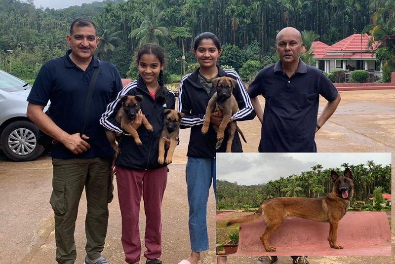 Karnataka: Belgian dog breed from Chikkamagaluru to serve as spy in ...