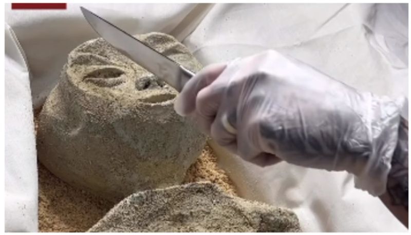 Alien mummy cake: 'ഏലിയന്‍ മമ്മികളെ തിരിച്ചറിഞ്ഞു'; വീഡിയോ കണ്ട് ലോകം ...