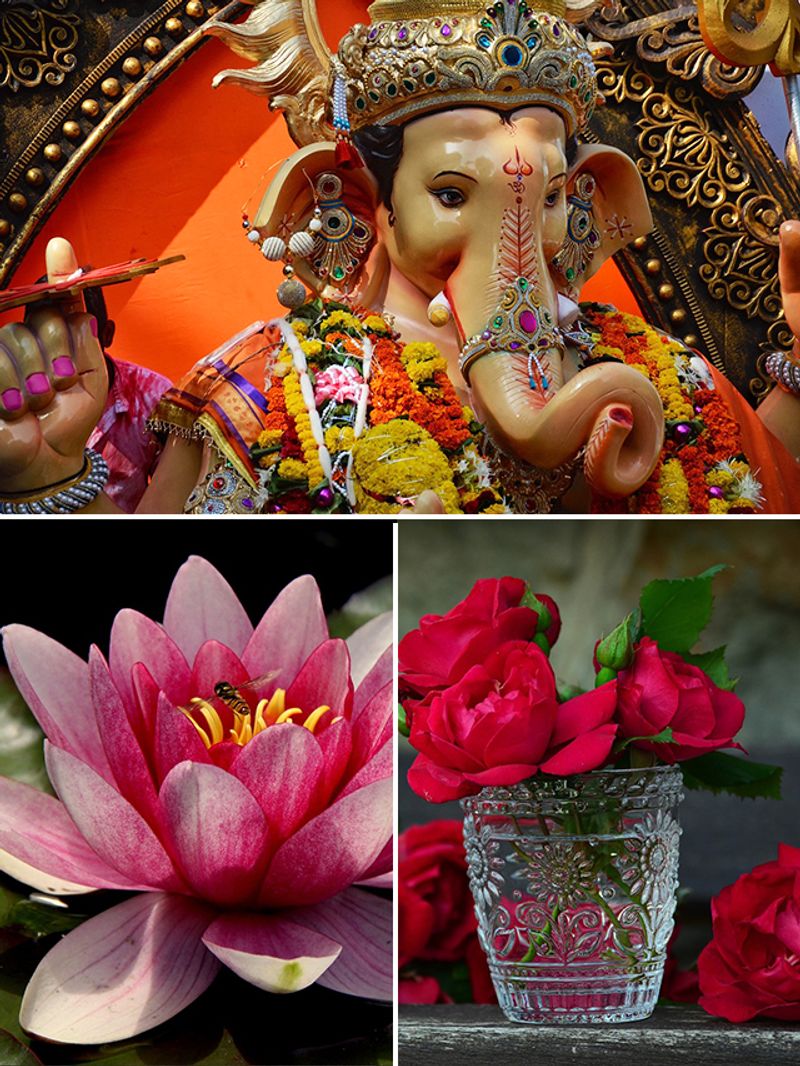 Rose to Lotus: 7 flowers to offer Lord Ganesh on Ganesh Chaturthi ...