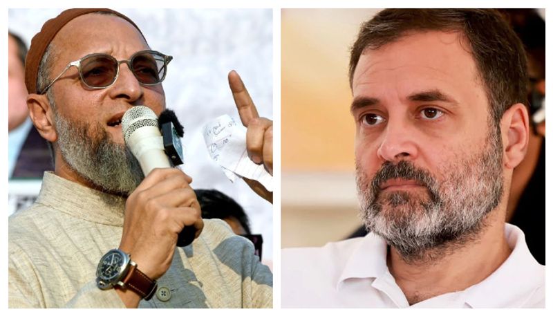 50 ವರ್ಷ ದಾಟಿದೆ, Loneliness ಕಾಡ್ತಿದೆ: Rahul Gandhi ವಿರುದ್ಧ Asaduddin ...