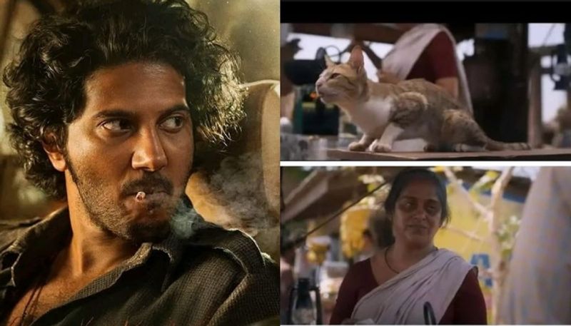 King of kotha: രാജുവിനെ കൊന്ന് പൂച്ചയെ രക്ഷിച്ച കാളിക്കുട്ടി; തെറിയും ...