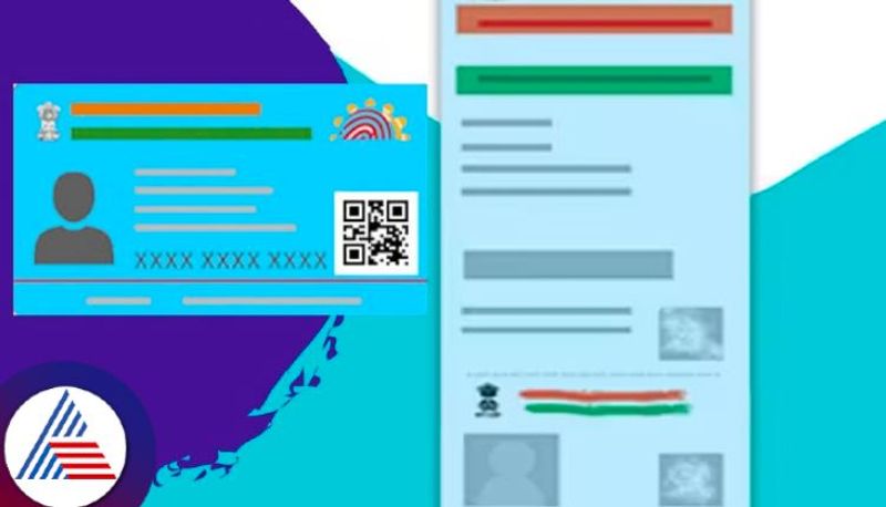 What is Blue Aadhaar Card? All you need to know