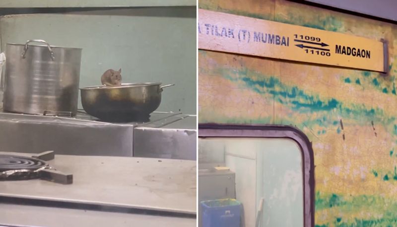 Shocking video reveals rat infestation in train pantry; railways reacts ...