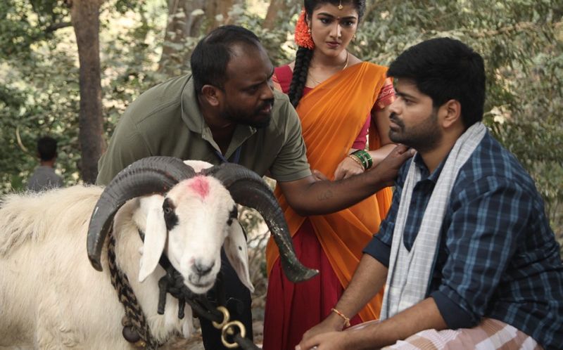 Tagaru Palya Review: ಭಾಷೆ ಸೊಗಸು, ದೃಶ್ಯ ಚಂದ, ಕಥನ ವಿಶಿಷ್ಟ - Nagabhushan ...