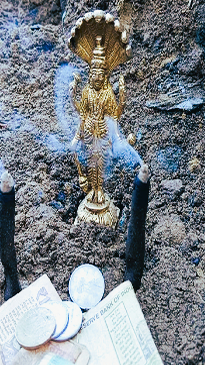 UP के पीलीभीत में खुदाई में मिली भगवान विष्णु की दुर्लभ मूर्ति - rare ...