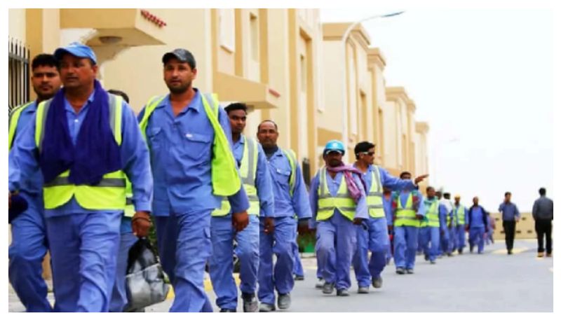 Blue collar workforce to gulf: ഇടിവ് ചില്ലറയല്ല, 90 %, കേരളത്തി ...