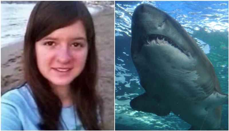 മകളോടൊപ്പം നീന്തുന്നതിനിടെ സ്രാവ് കടിച്ചു കീറി, 26കാരിക്ക് ദാരുണാന്ത്യം ...